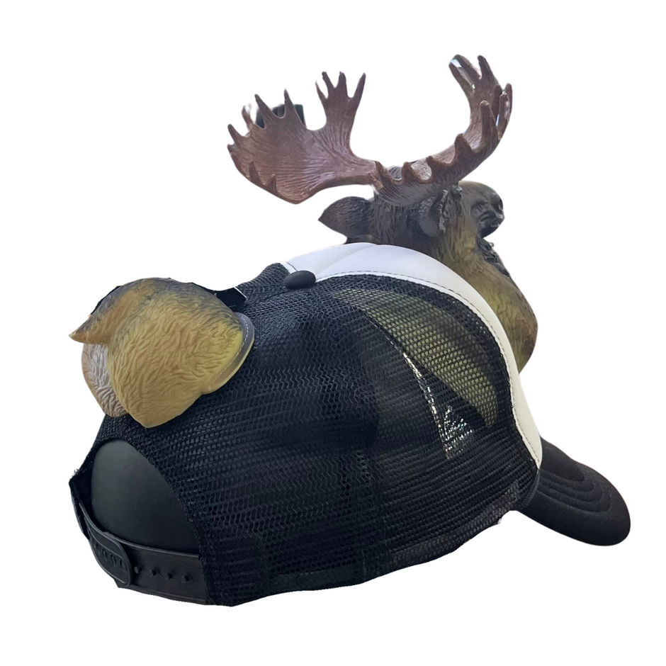 Souvenirs – alvinsisland.com